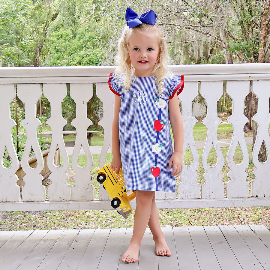 Apple And Flower Applique Royal Gingham A Line Dress – Classic Whimsy